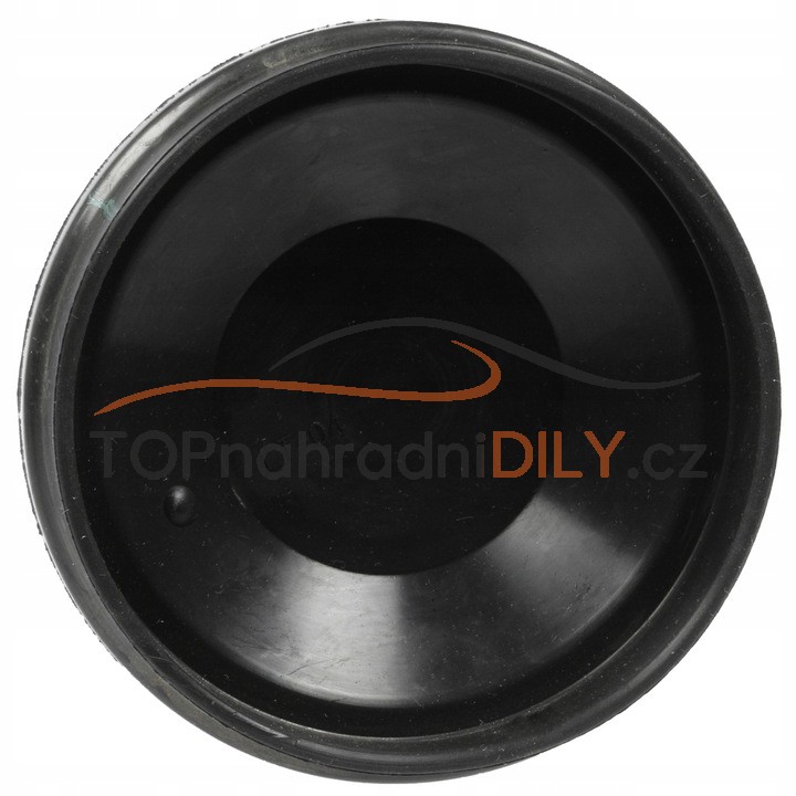 Krytka světla, světlometu Nissan Qashqai J10 153873